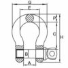 Understand Shackle Sizes, Capacity, Dimensions and Safe Working Load..