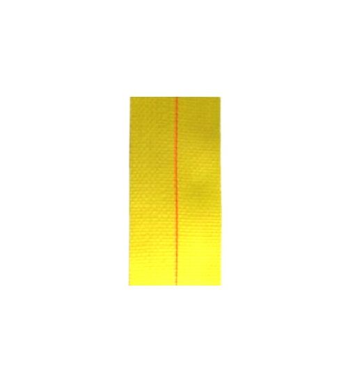 USA Standard Tie Down Webbing/Lashing webbing